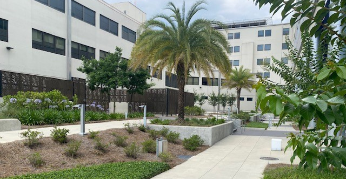 Commemorative Bricks | Tallahassee Memorial Health